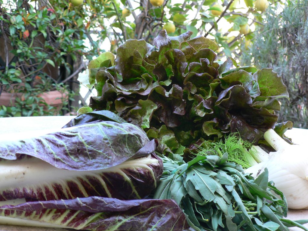 Roman Salad Days - Insiders Italy