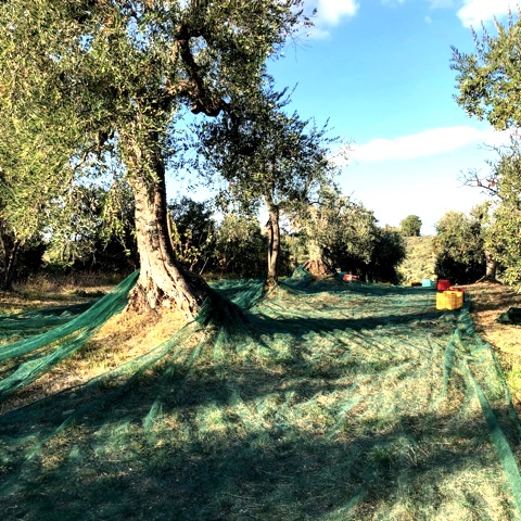 Italy is Best between October and April - Insiders Italy